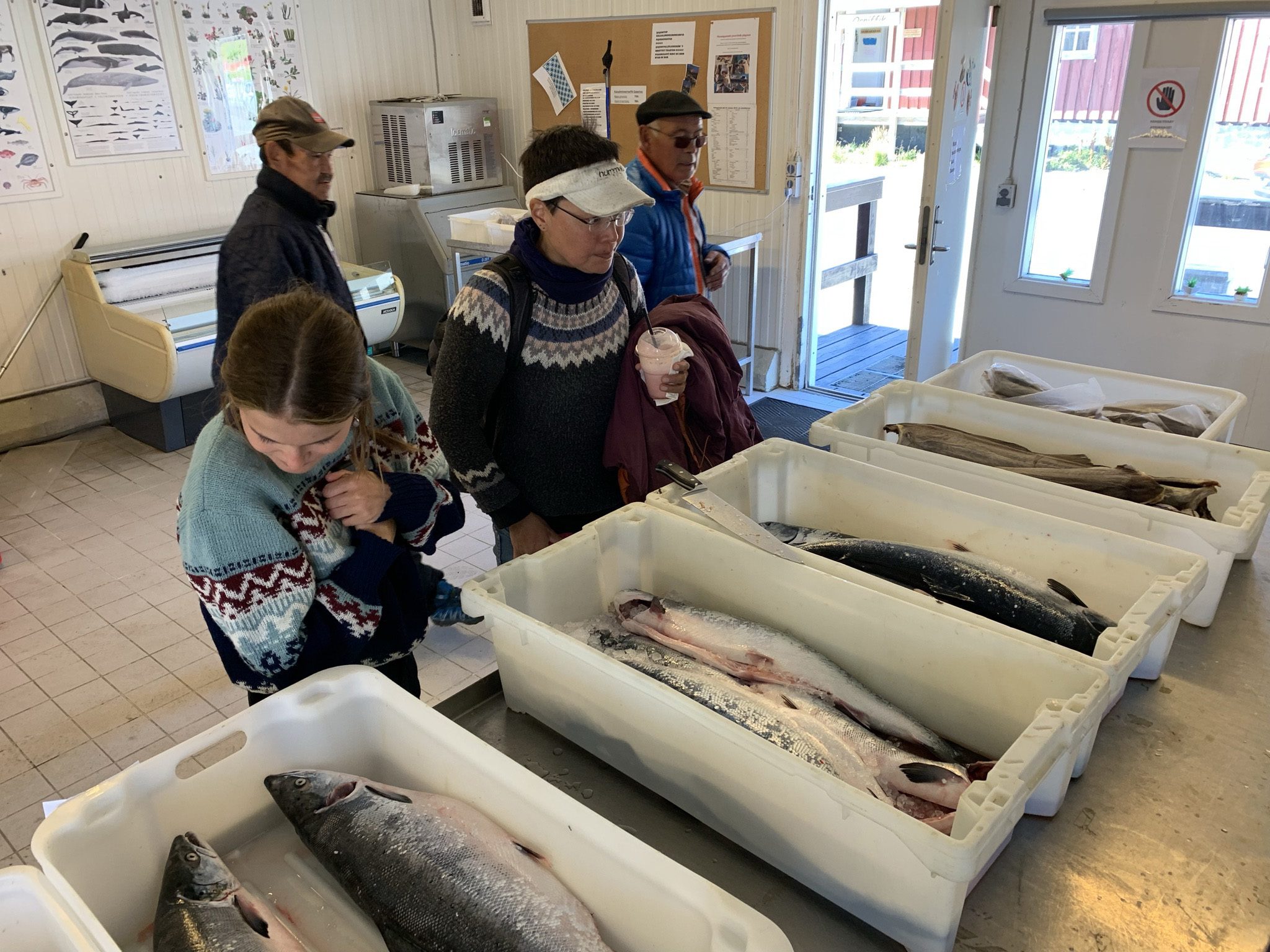 Citizen salmon project boosts catch reporting and science in Greenland ...